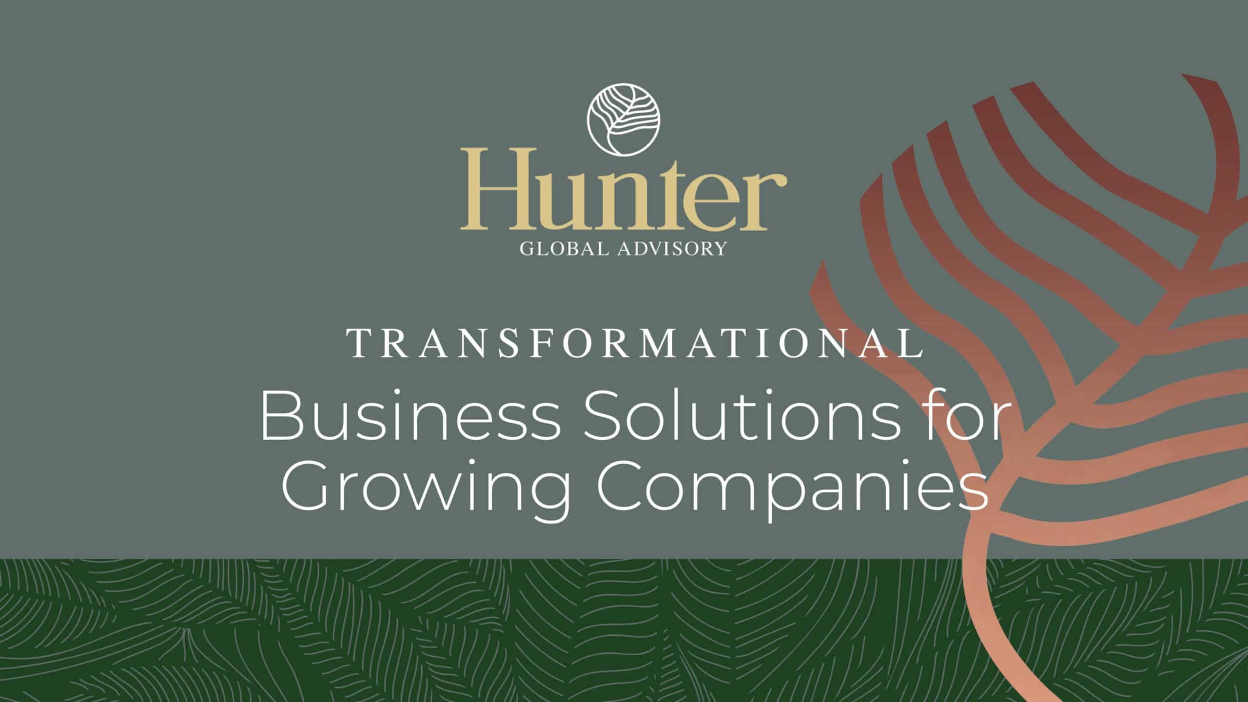 What We Do - Hunter Global Advisory Partners